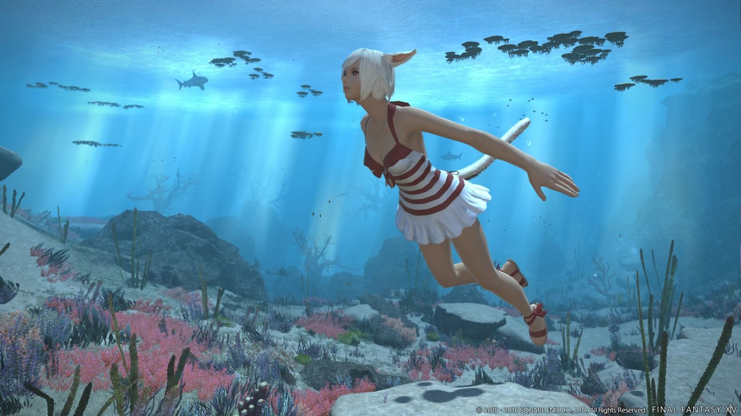How to Dive Underwater in Final Fantasy XIV - Final Fantasy XIV Guide