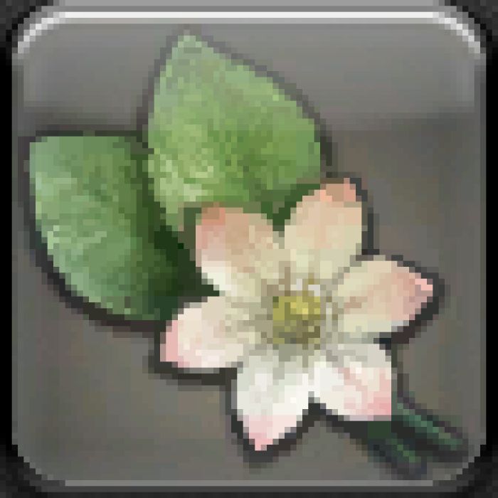 Island Sanctuary Materials - Final Fantasy XIV Guide