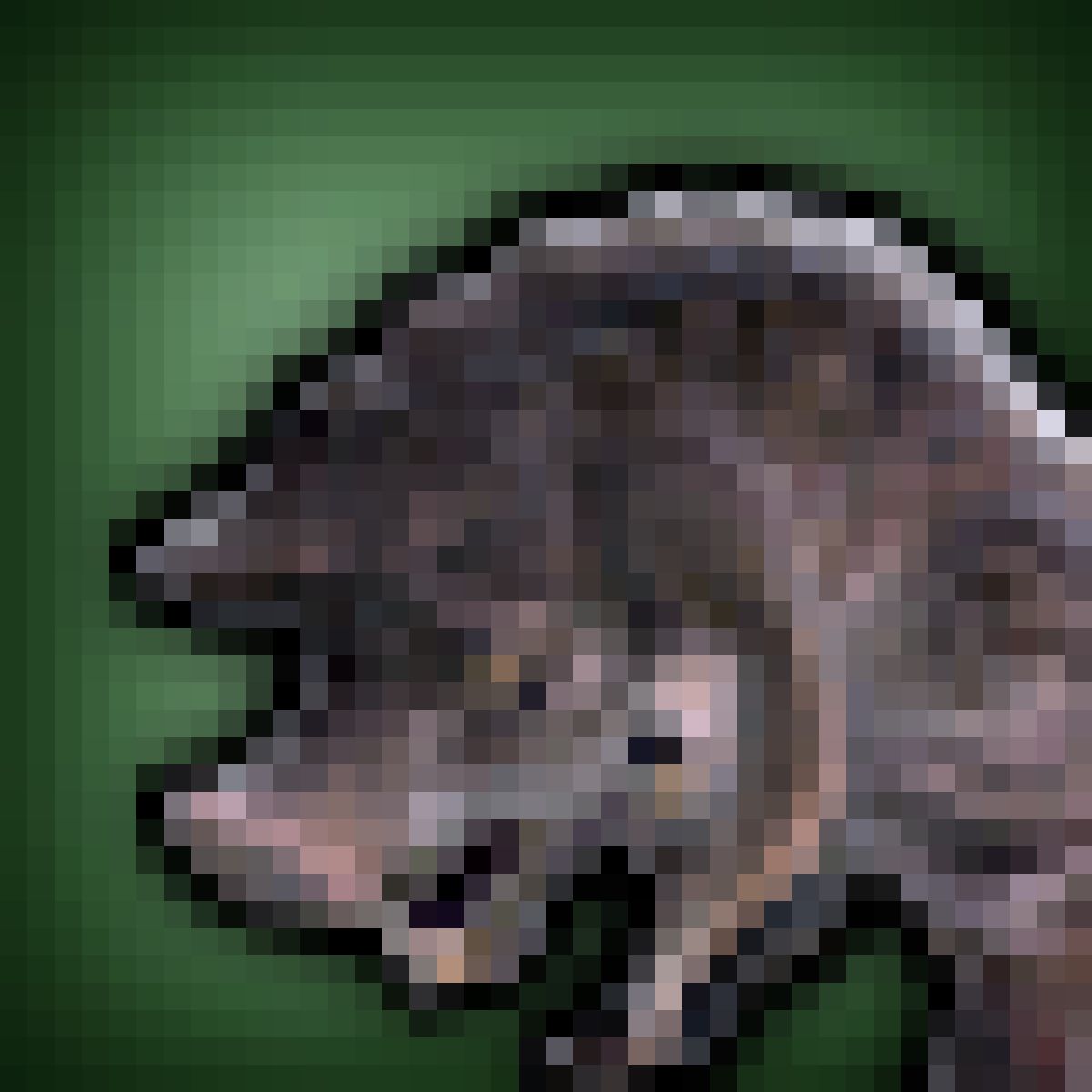 Island Sanctuary: Wild Animals and Rare Animals - Final Fantasy XIV Guide