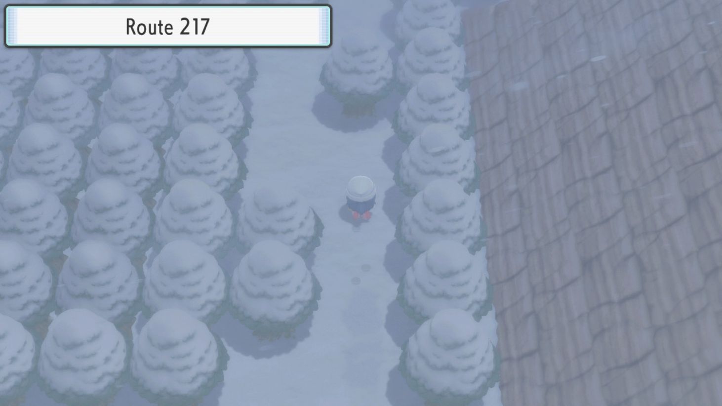 Route 217 - Pokémon Brilliant Diamond and Shining Pearl Walkthrough