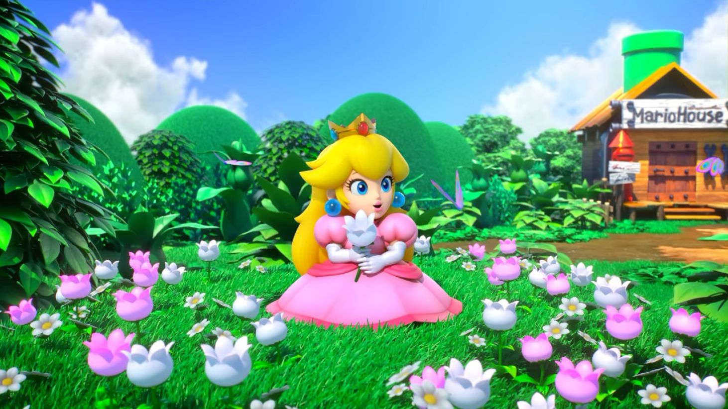 Beginning the Game - Super Mario RPG Walkthrough and Guide