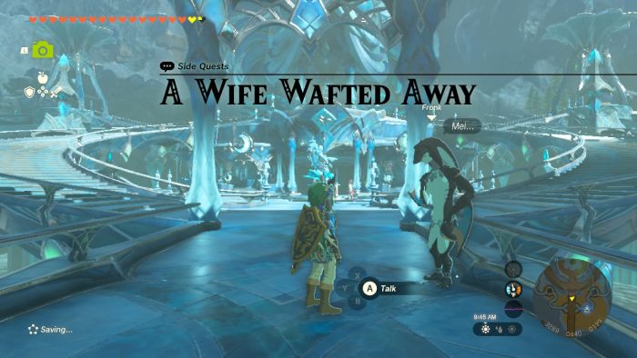 A Wife Wafted Away - The Legend of Zelda: Tears of the Kingdom Guide