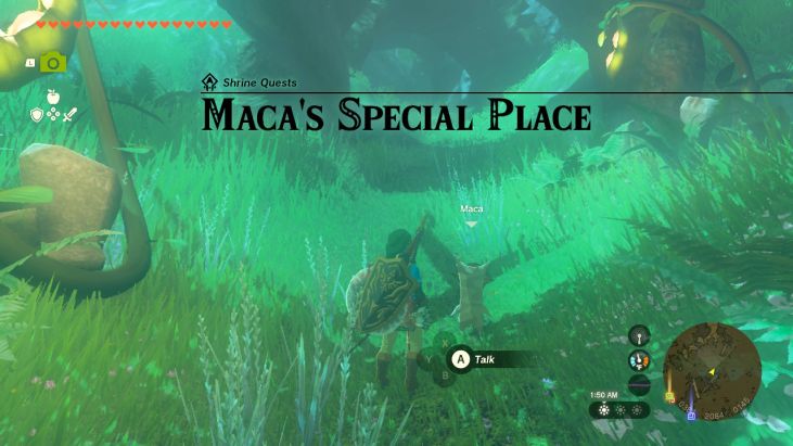 Maca's Special Place - The Legend of Zelda: Tears of the Kingdom Guide