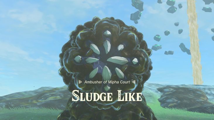 Sludge Like Boss Battle Strategy - The Legend of Zelda: Tears of the ...