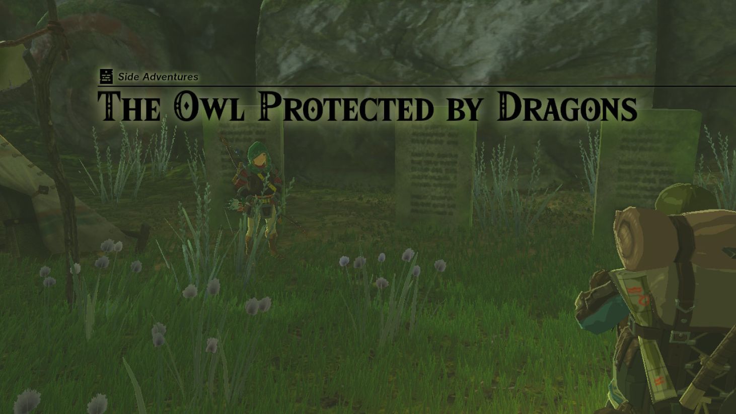 The Owl Protected by Dragons - The Legend of Zelda: Tears of the ...