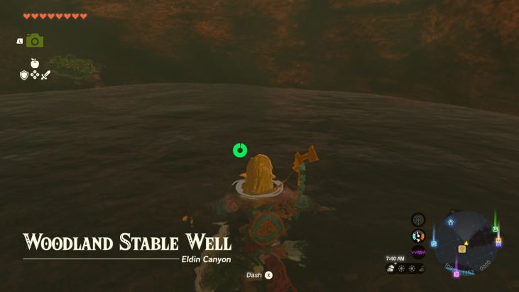 Woodland Stable Well - The Legend of Zelda: Tears of the Kingdom Guide